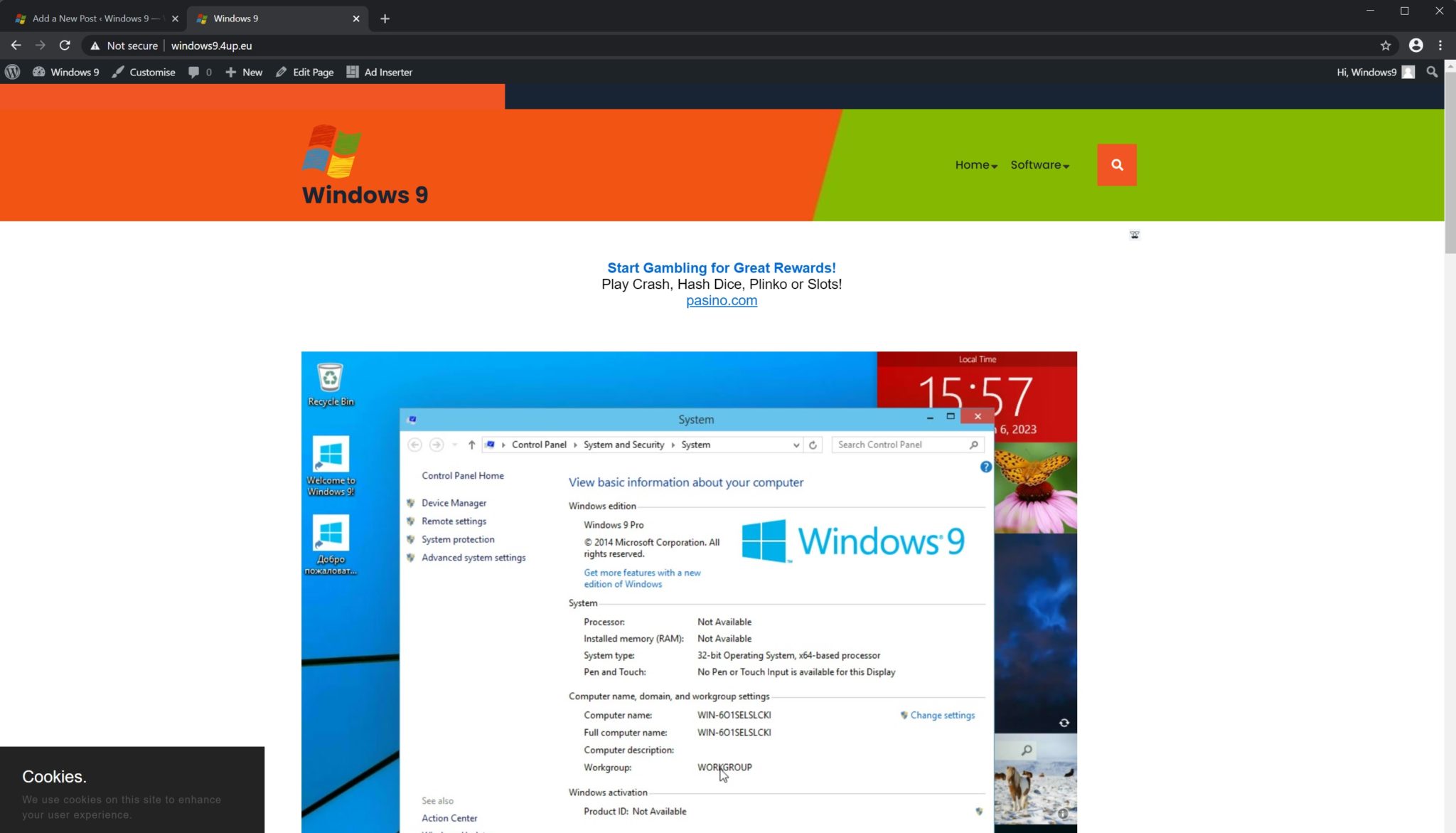 Web Browsers – Windows 9